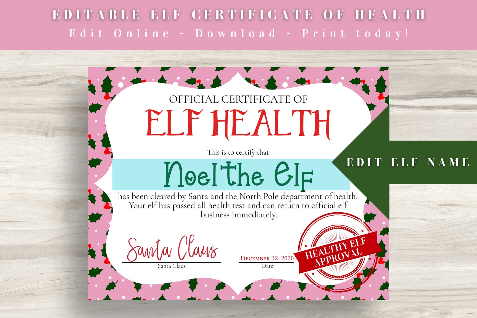 Printable Elf Quarantine Kit, Elf Adoption Certificate, Girl Elf ...