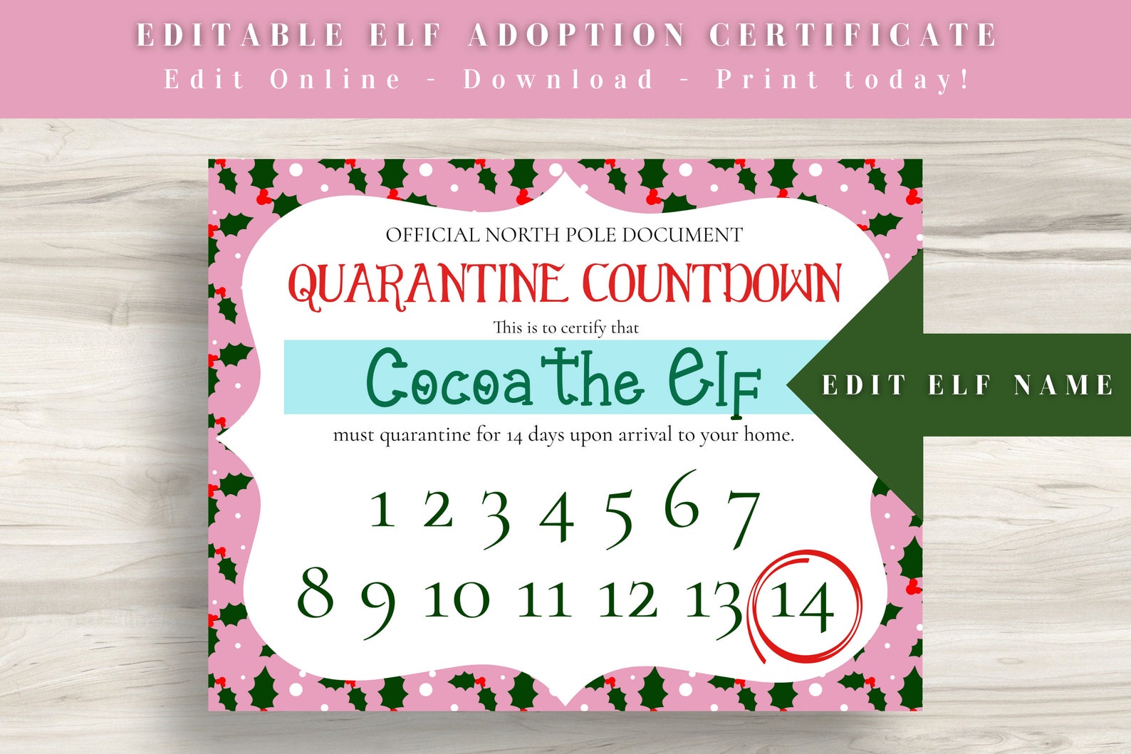 Printable Elf Quarantine Kit, Elf Adoption Certificate, Girl Elf ...