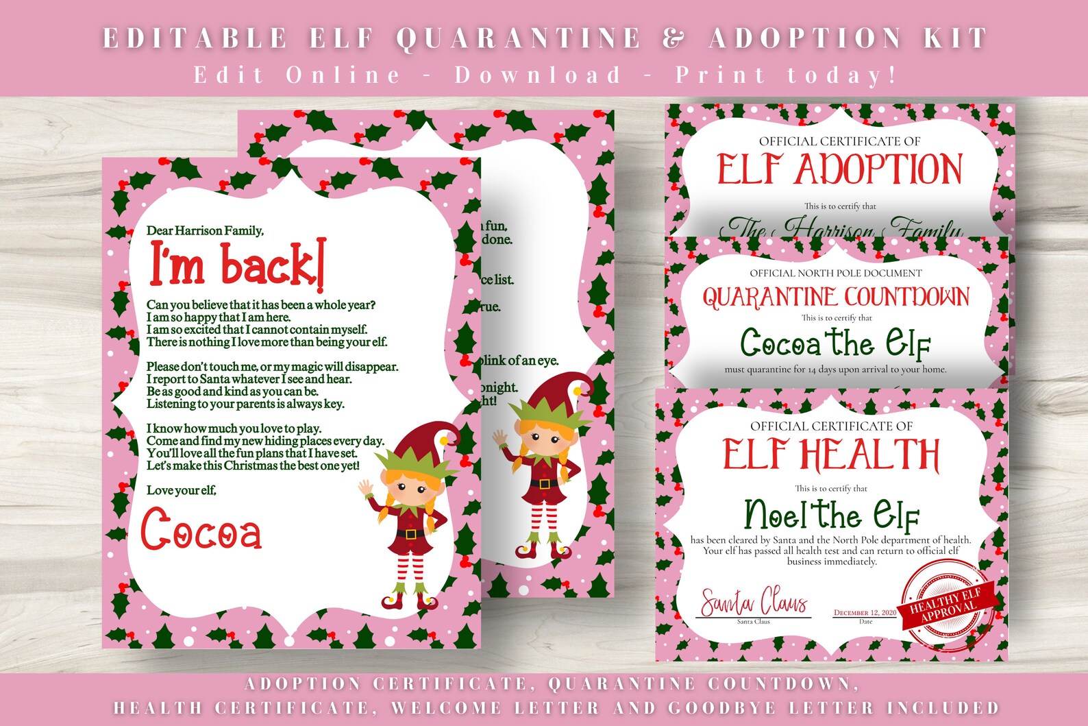 Printable Elf Quarantine Kit, Elf Adoption Certificate, Girl Elf ...