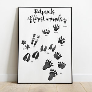 FOREST ANIMALS Bundle Deal Printable Montessori Cards and Poster ...