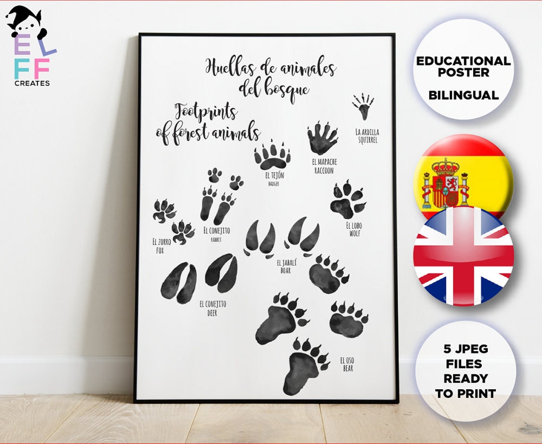 Bilingual Poster ENGLISH to SPANISH Forest Animal Footprints Montessori ...