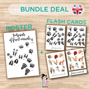 FOREST ANIMALS Bundle Deal Printable Montessori Cards and Poster ...