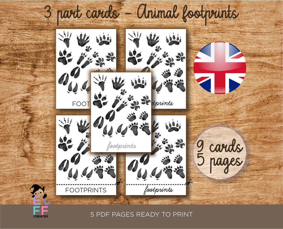 FOREST ANIMAL FOOTPRINTS 9 Montessori Cards Flash Cards Nomenclature ...