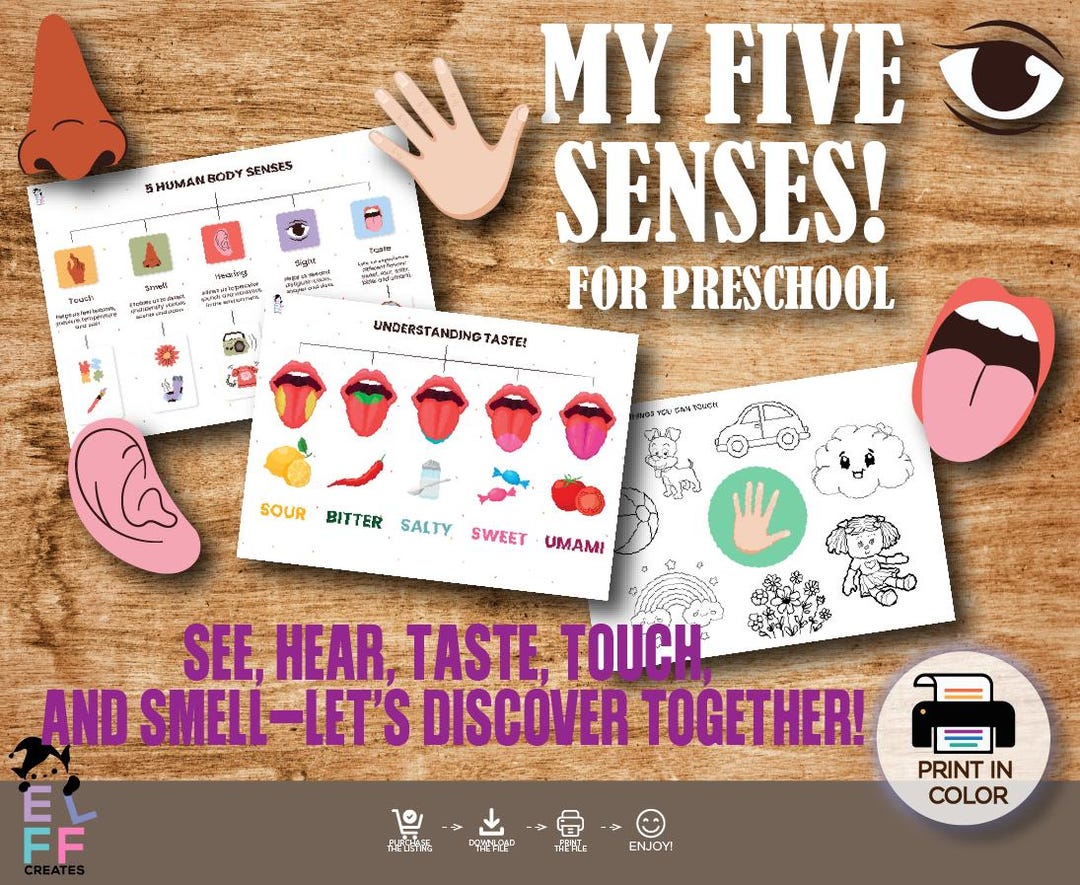 Five Senses Sorting Activity Printable, 5 Senses Classification Game ...