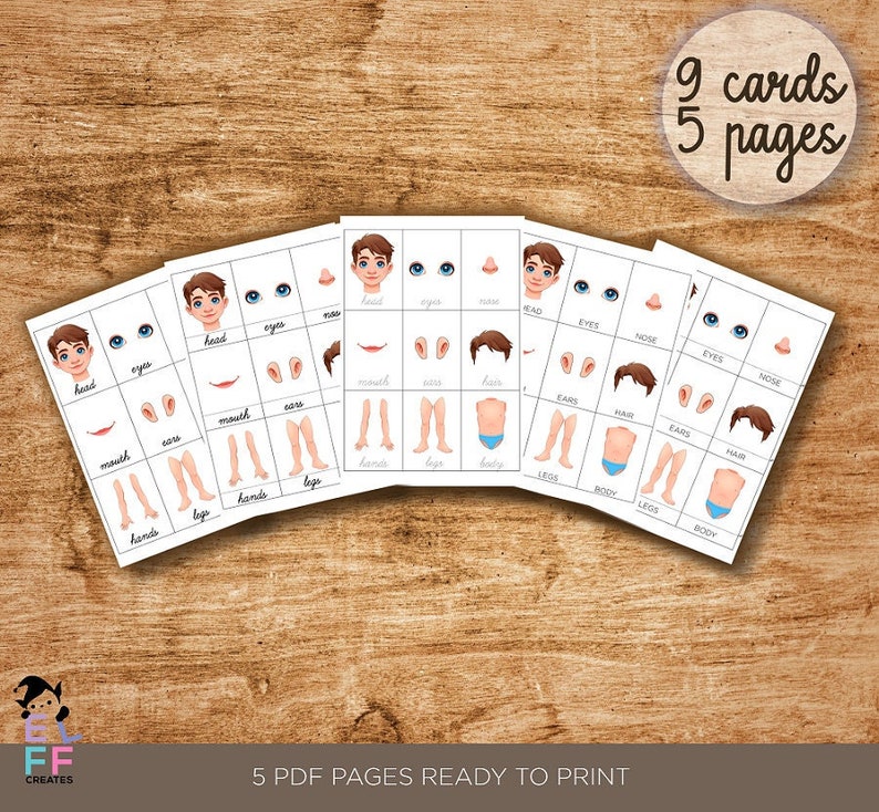 BODY PARTS FLASHCARDS 3 Part Cards Montessori Learning - Etsy Australia