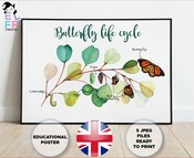 Life Cycle of a Plant Botany Pack Montessori Culture Nature Study ...