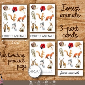FOREST ANIMALS Bundle Deal Printable Montessori Cards and Poster ...