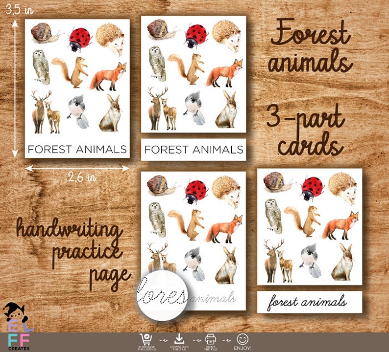 FOREST ANIMALS Bundle Deal Printable Montessori Cards and Poster ...