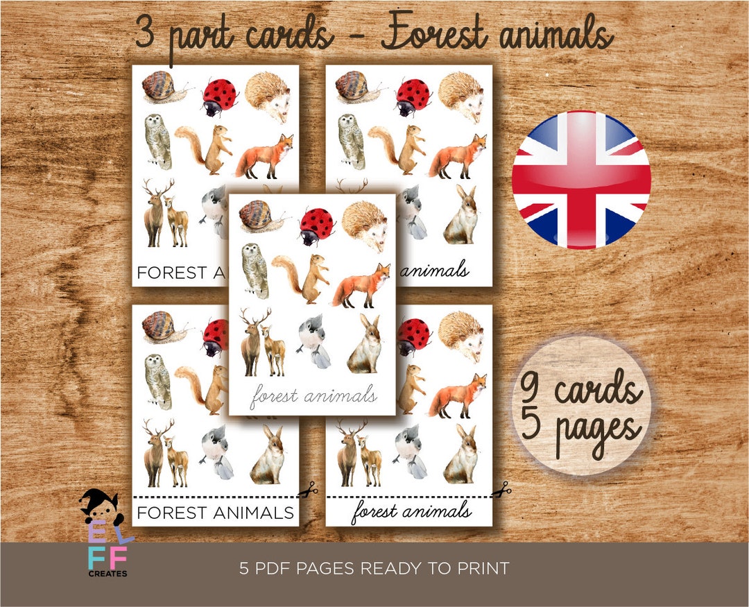 FOREST ANIMALS 9 Montessori Cards Flash Cards Nomenclature Flash Cards ...