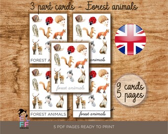 ANTARCTIC ANIMALS Montessori Cards Flash Cards Nomenclature Flashcards ...