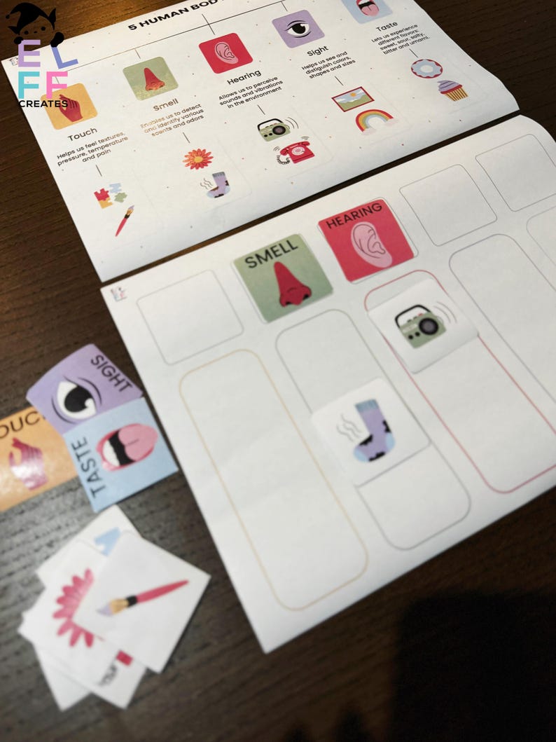 Five Senses Sorting Activity Printable, 5 Senses Classification Game ...