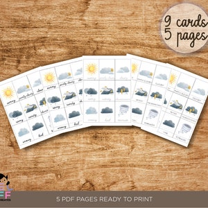WEATHER CARDS Montessori Flash Cards Nomenclature Flash Cards PDF ...