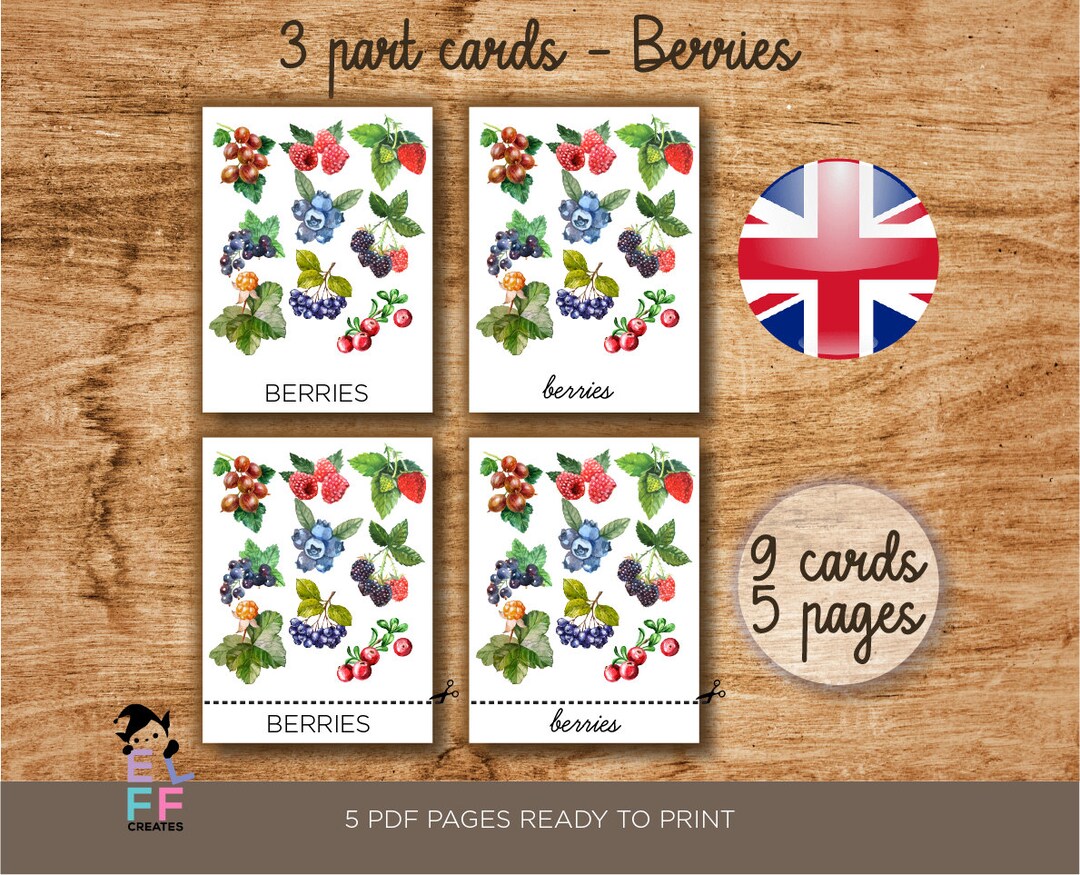 BERRIES 9 Montessori Cards Flash Cards Nomenclature Flash Cards PDF ...