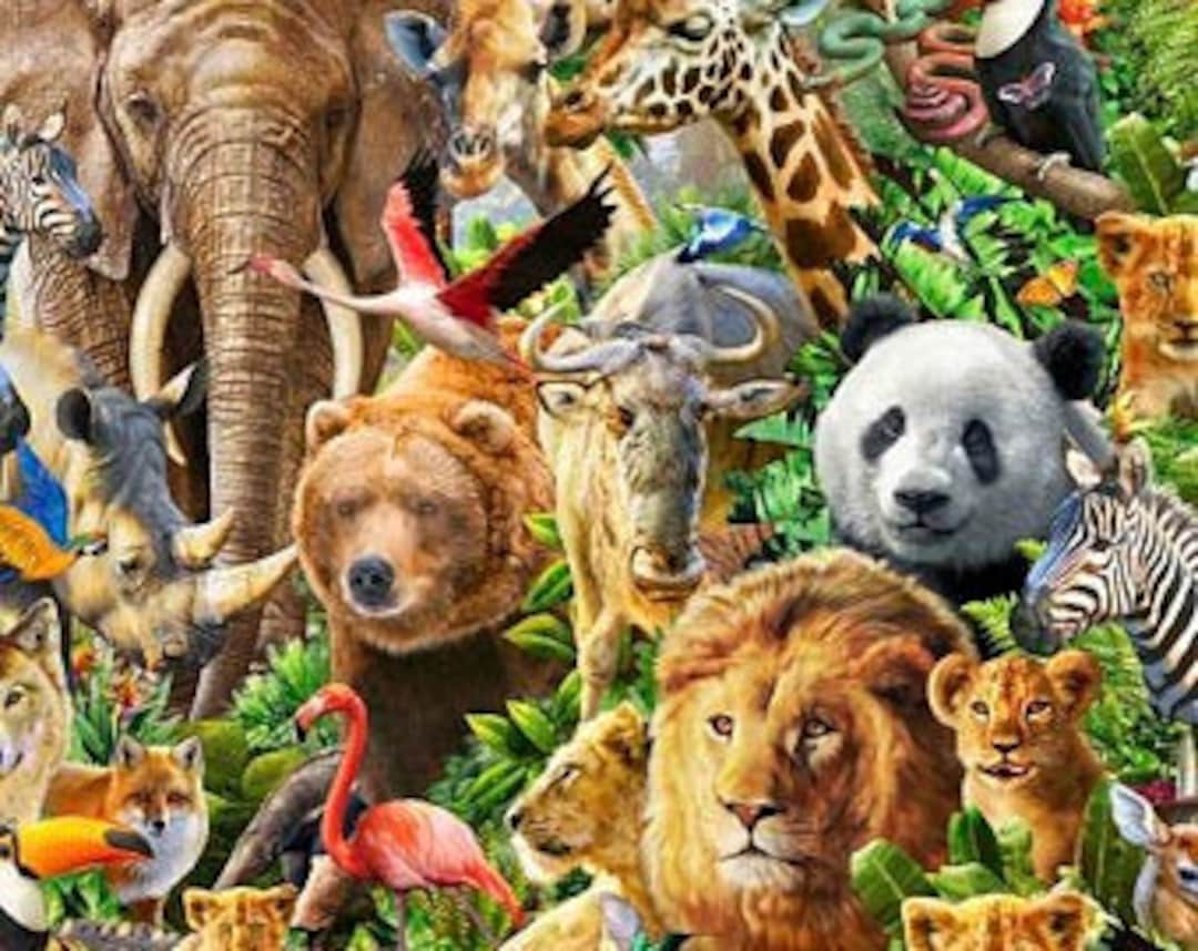 Artwork XIV-27519-X Packed Animals Fabric 27"xx44" Inches - Etsy
