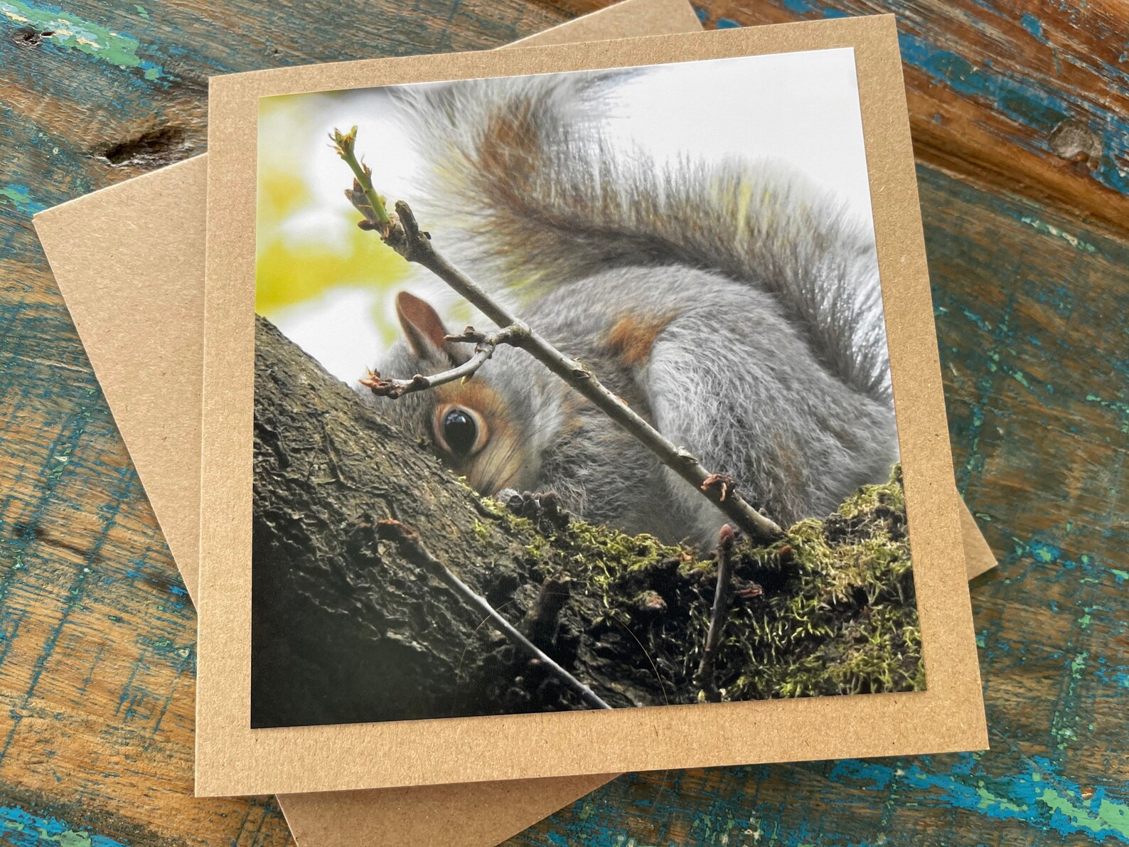 Squirrel card. Get well soon card recycled card birthday | Etsy