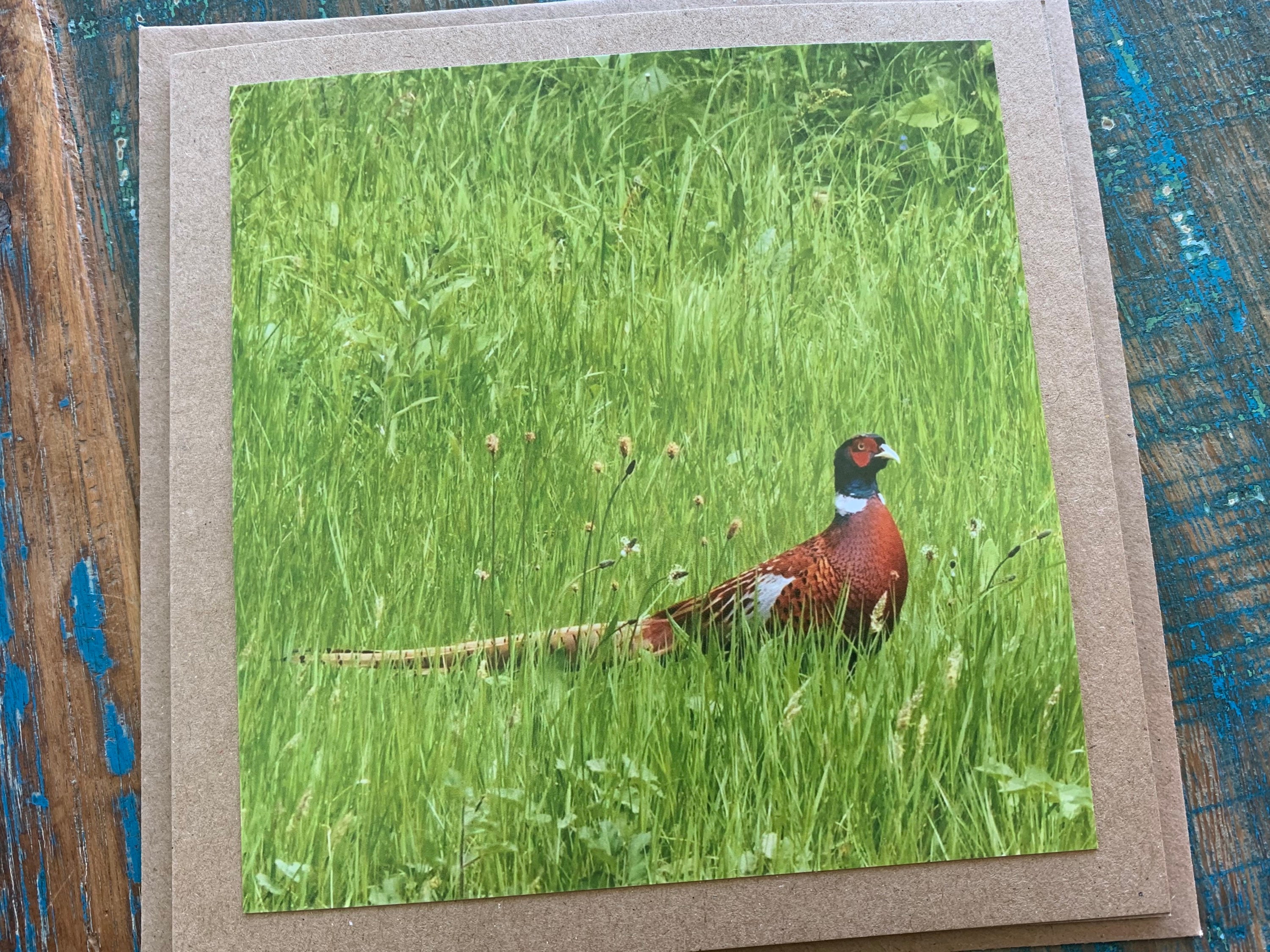 Pheasant Card, Recycled Card, Birthday Card, English Bird Card. Eco ...