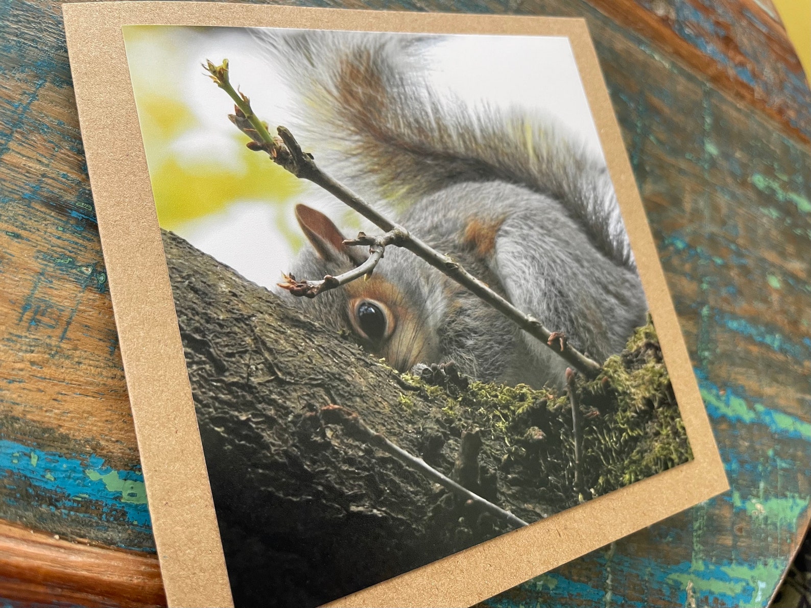 Squirrel card. Get well soon card recycled card birthday | Etsy