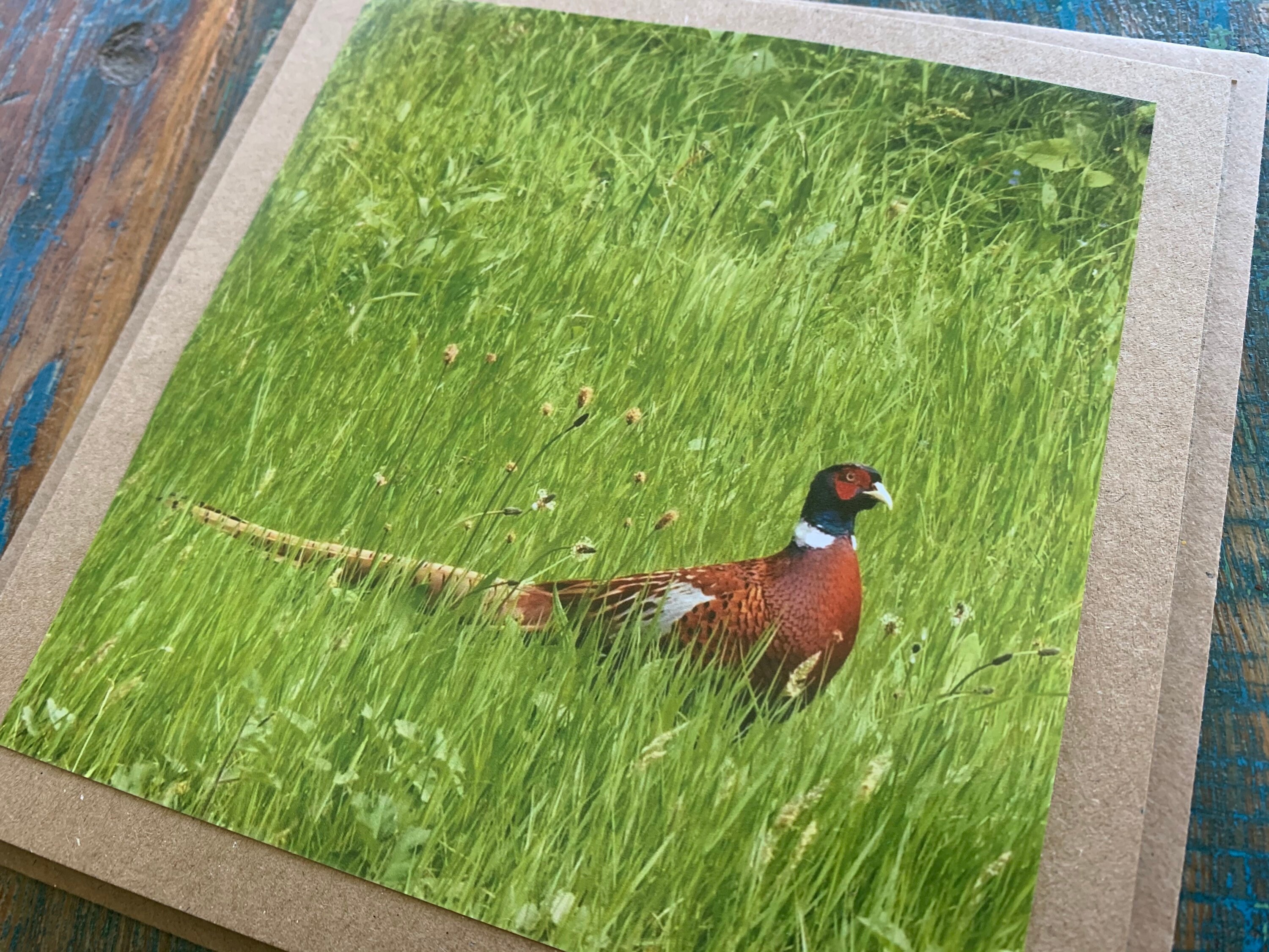 Pheasant Card, Recycled Card, Birthday Card, English Bird Card. Eco ...