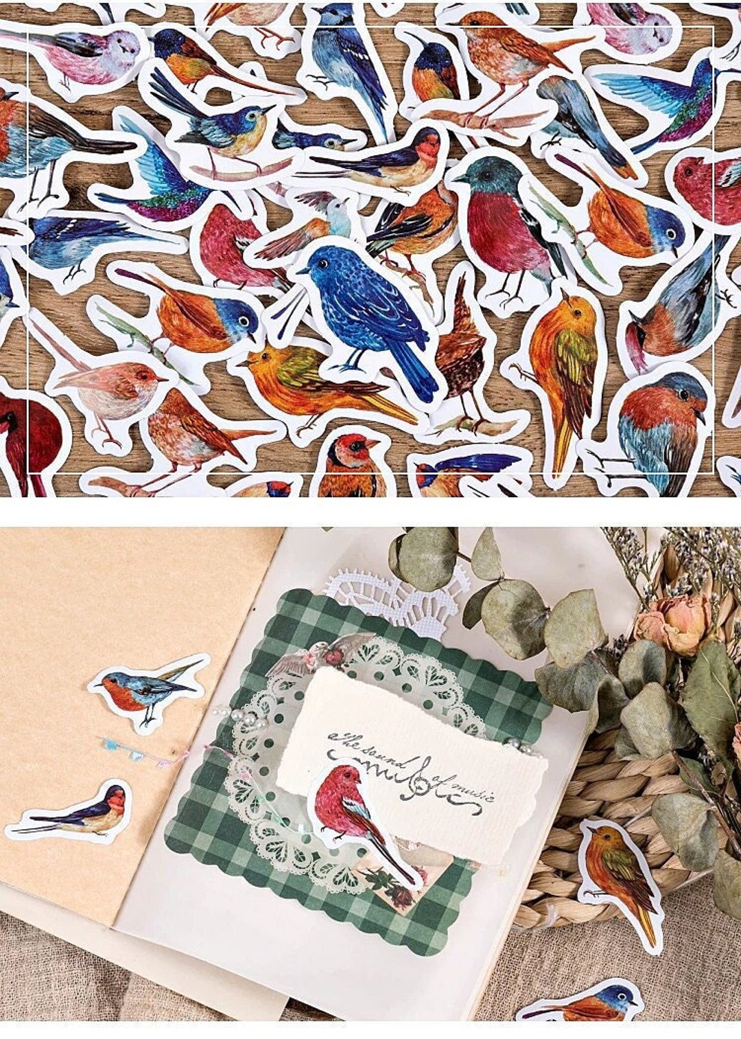 46 Garden Birds Stickers in A Box | Cute, Colourful, Collectible ...