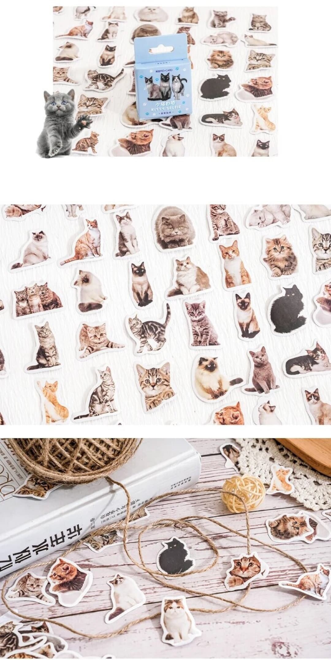46 Cats Galore Stickers in A Box | Cute, Colourful, Collectible ...