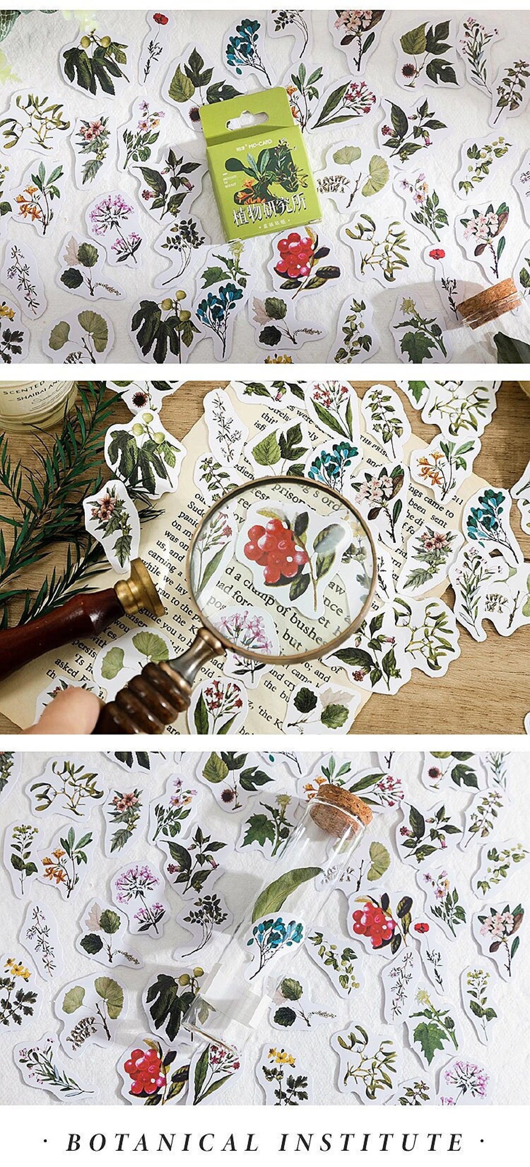 46 Institute of Botany Stickers in A Box Cute, Colourful, Collectible ...