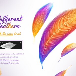 Feathers Procreate Brushes - Feather Procreate Brush - Feathers ...