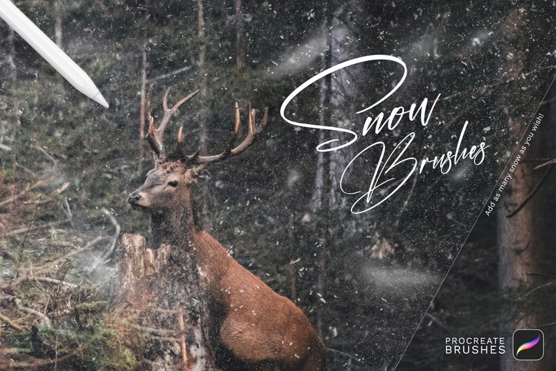 Snow Procreate Brushes, Snow Overlay Procreate Brush, Snow Procreate ...