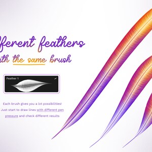 Feathers Procreate Brushes - Feather Procreate Brush - Feathers ...