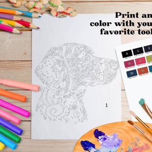 Color by Number Dog, Colorful Animals, Adult Coloring Pages, Digital ...