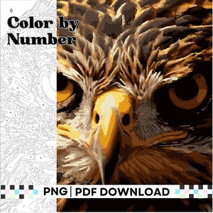 Color by Number Bird, Coloring Animals, Adult Coloring Pages, Digital ...