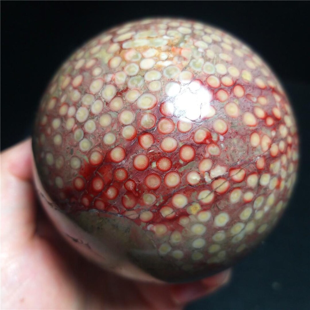 75MM Natural Marine Jasper Ecological Coral Sphere,crystal Sphere Ball ...