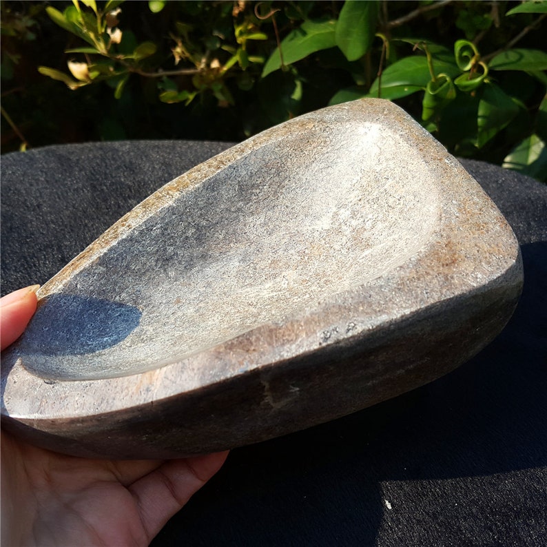 Natural Large Fossilized Designer Petrified Dinosaur Bones - Etsy