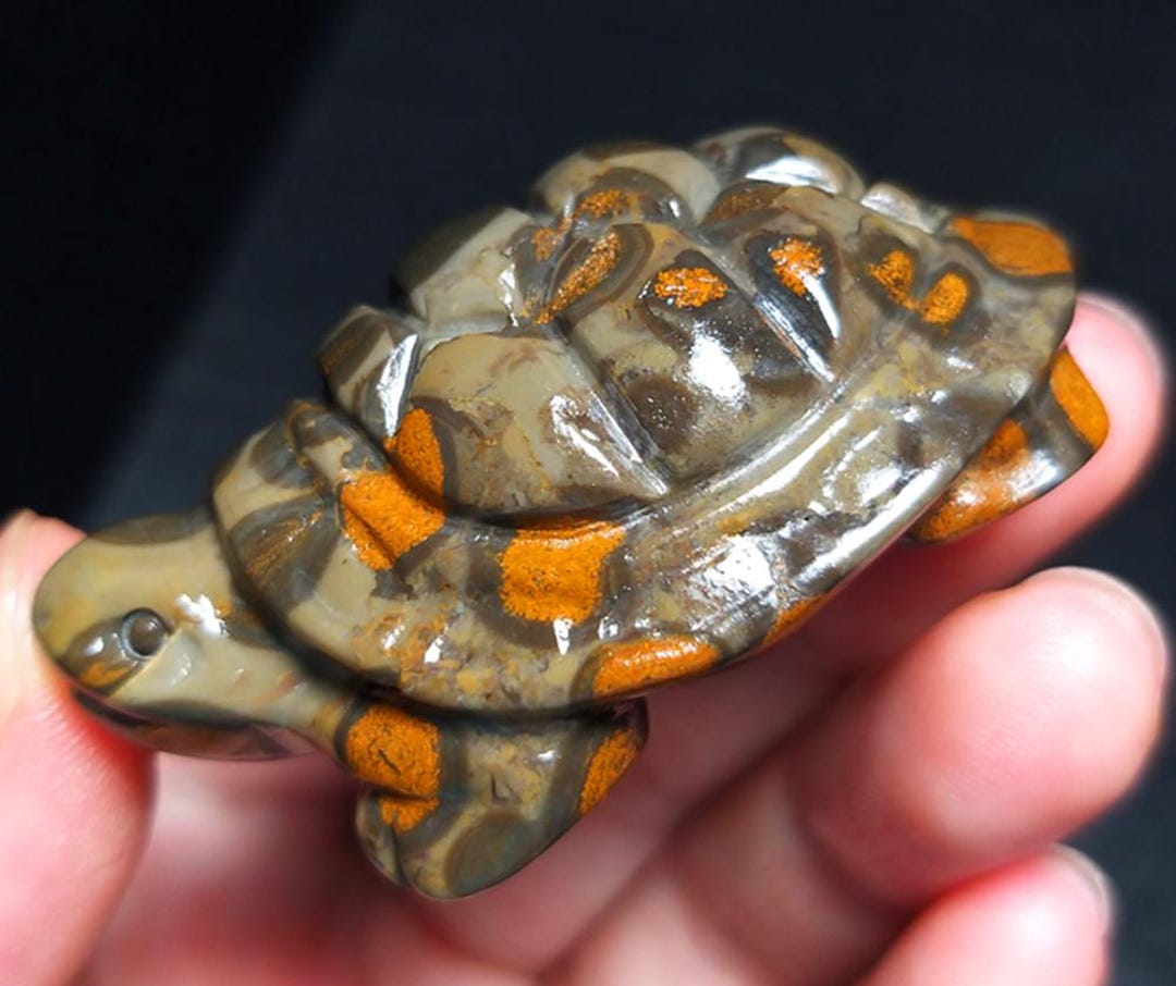 Rare Natural Polished Eye Agate Hand Carved Tortoise Crystal,healing ...