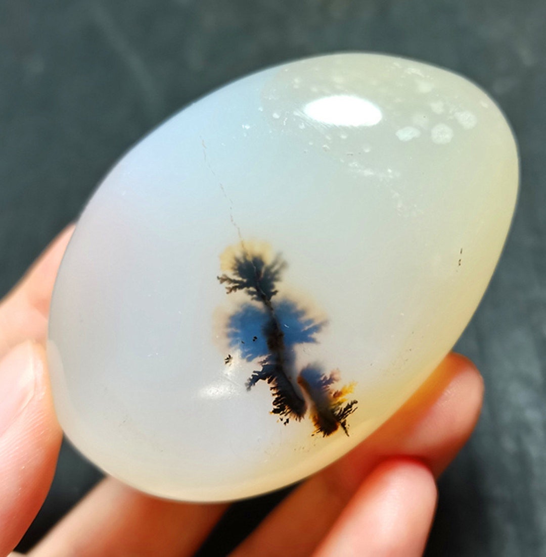 Natural Chalcedony With Aquatic Plants Agate Banded Agate Crystal ...