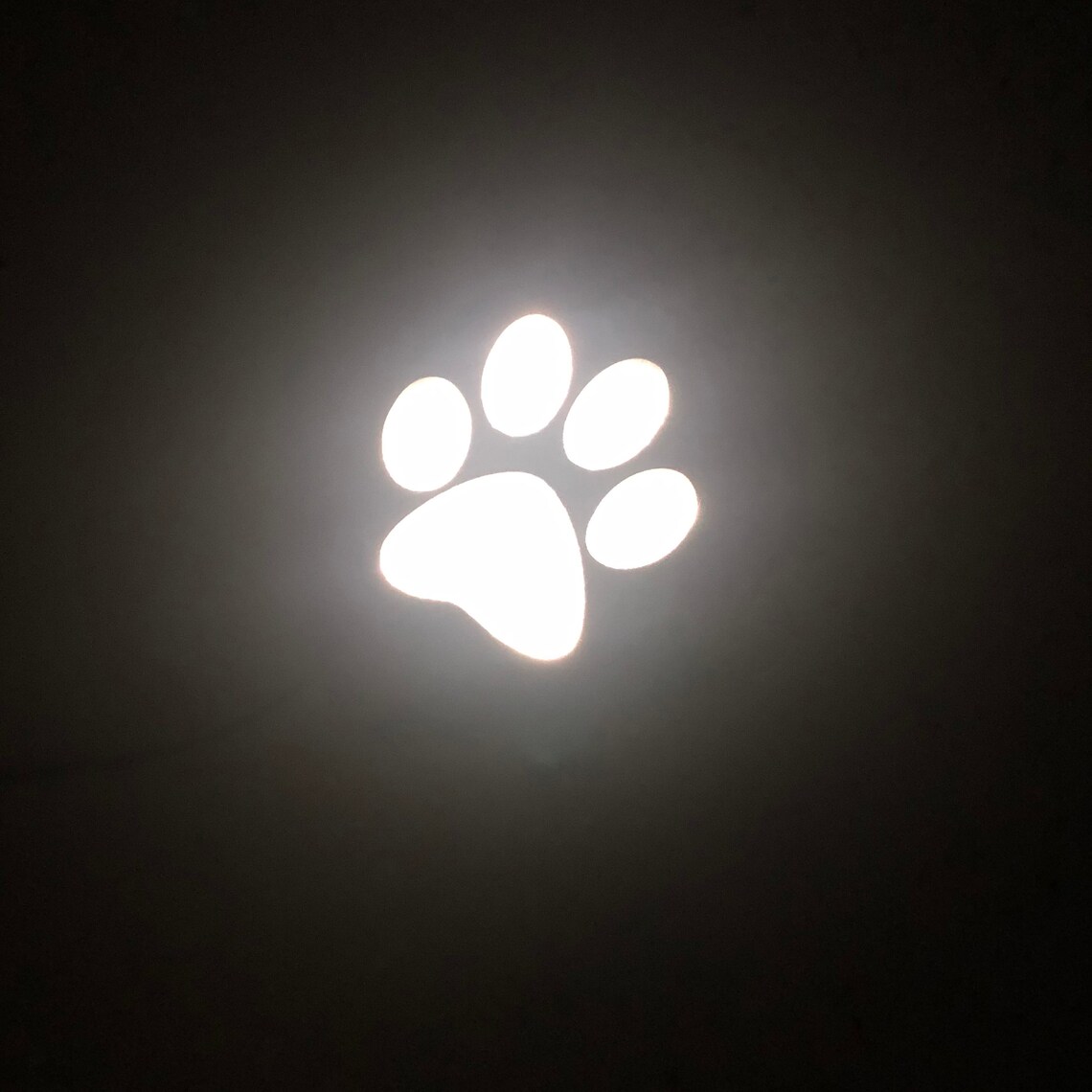 PAW PRINT LIGHT - Etsy