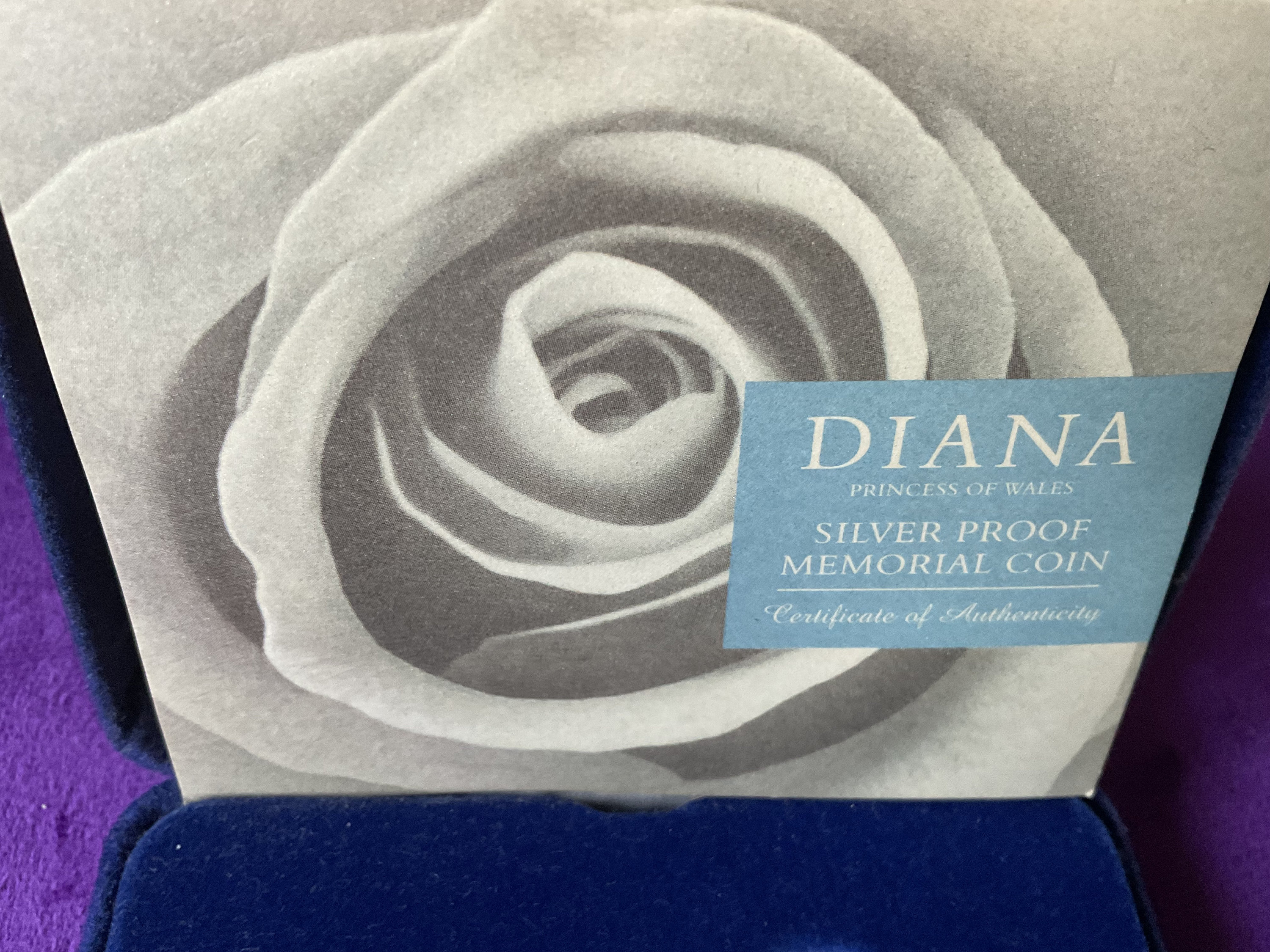 DIANA Princess of Wales Silver Proof MEMORIAL Coin With Royal Mint ...