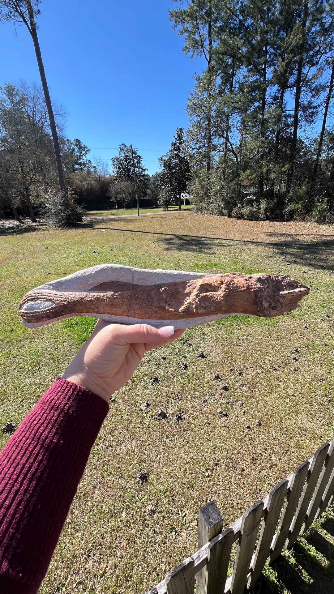 Rare Piece ~ Fossil Fish From Africa ~ Pre Historic Fossil Fish ~ Real ...