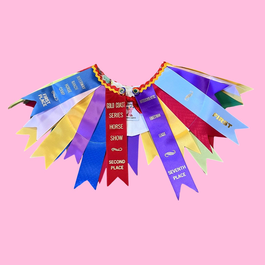 Horse Equestrian Upcycled Prize Winner Ribbon Detachable Tie Collar - Etsy