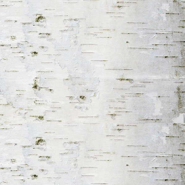 Birch Bark Paper - Etsy