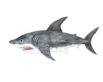 Bull Shark Swimming in Ocean Tropical Fish Under the Sea Fabric Quilt ...