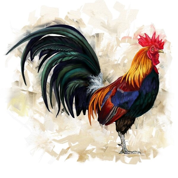 Rooster Fabric - Etsy