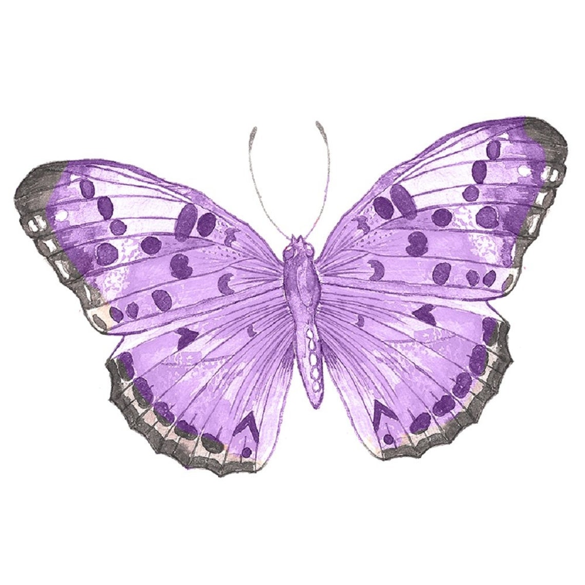 Purple Butterfly Fabric Panel - Etsy