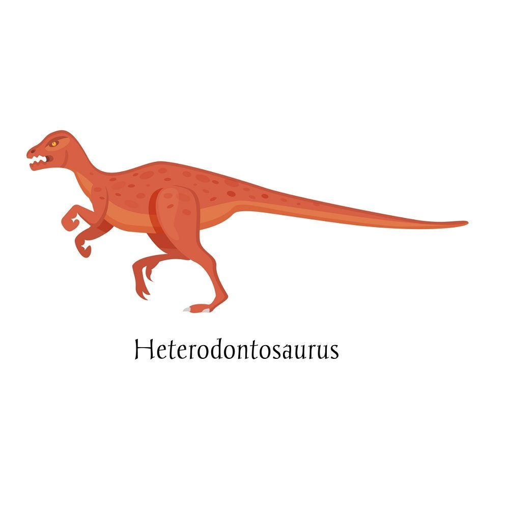 Heterodontosaurus Skeleton
