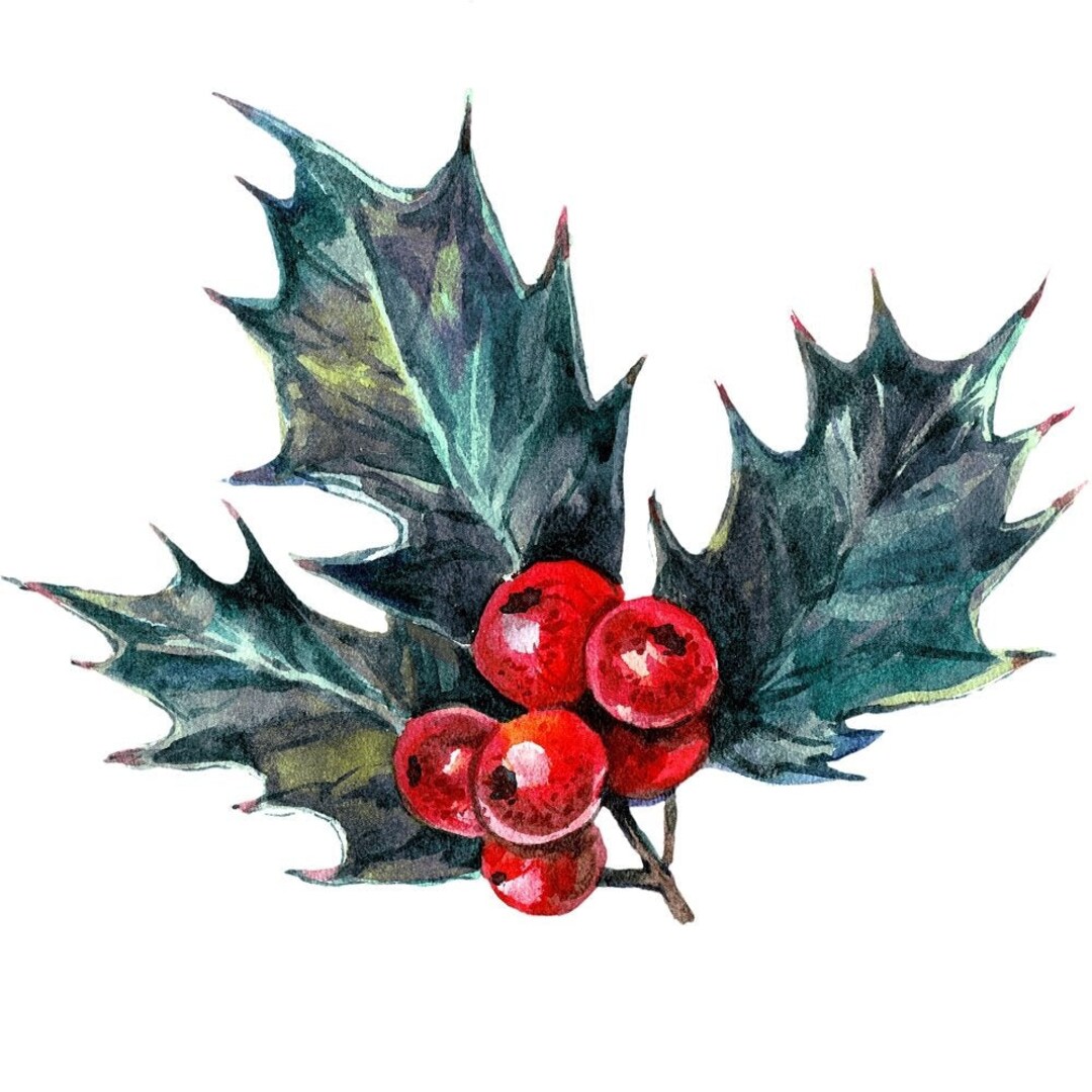 Holly Berry Plant Style 3 Fabric Panel - Etsy