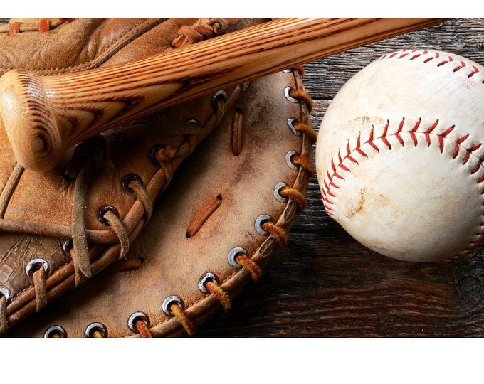 Realistic Baseball and Baseball Glove Fabric Panel - Etsy