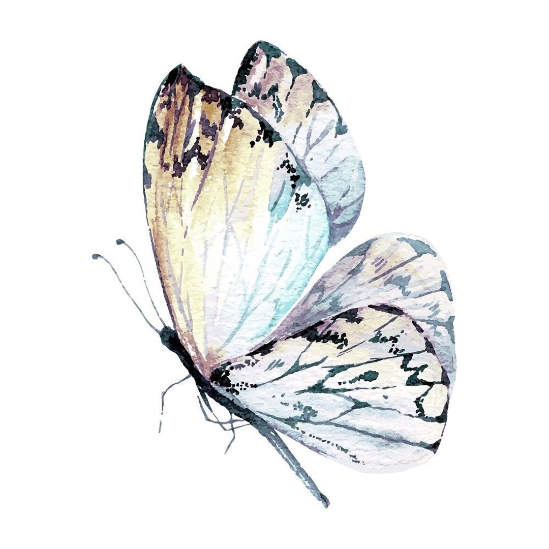 White Butterfly Fabric Panel - Etsy