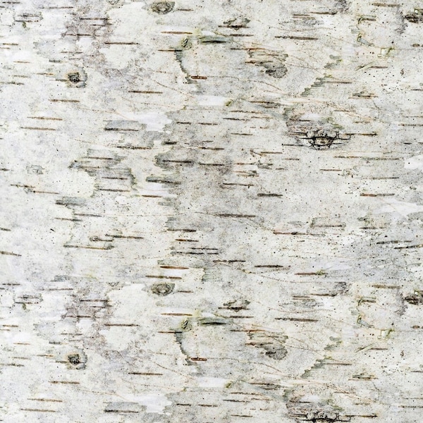 Birch Fabric - Etsy