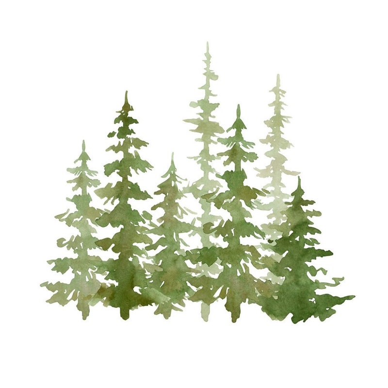 Watercolor Evergreen - Etsy