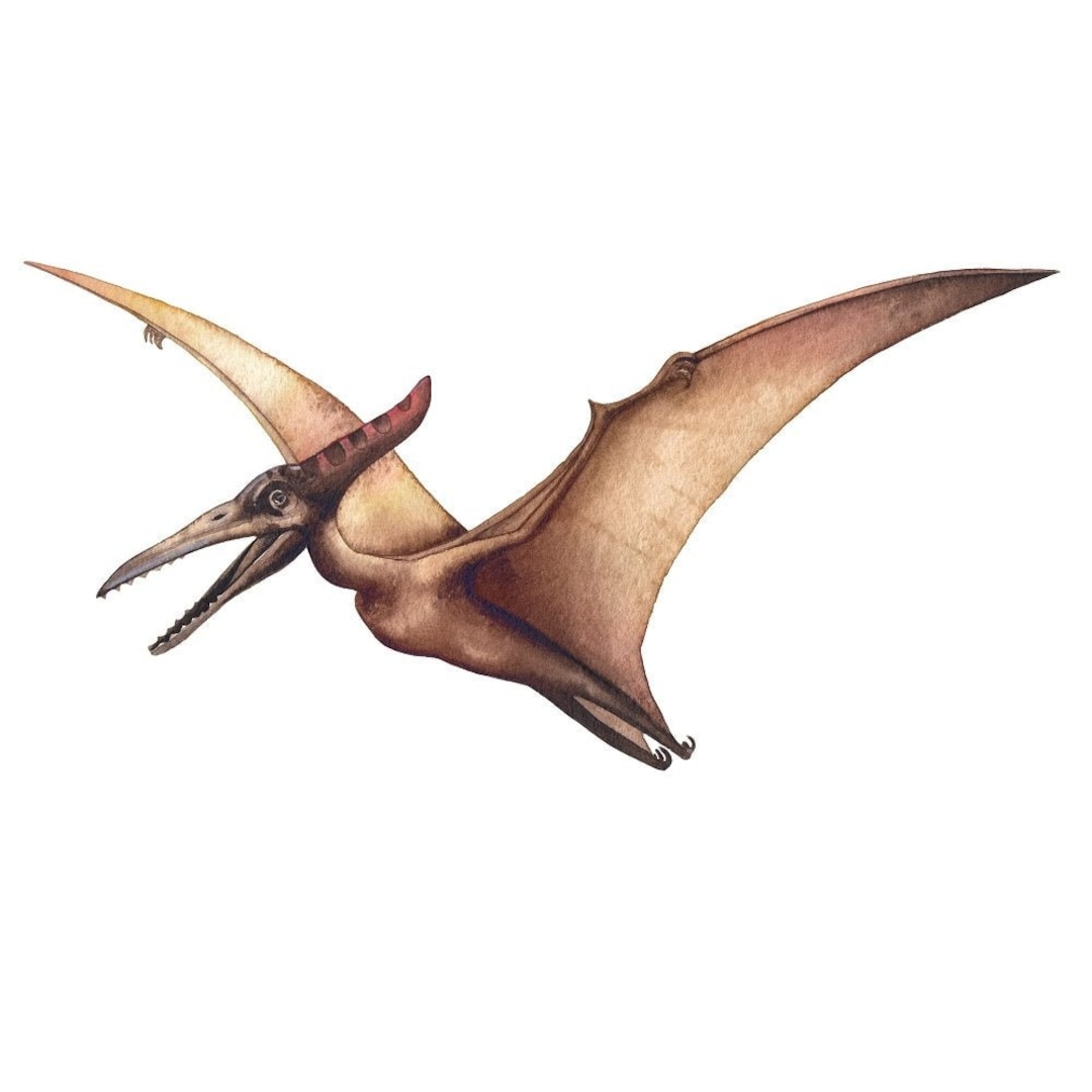 Dinosaur Pterosaur