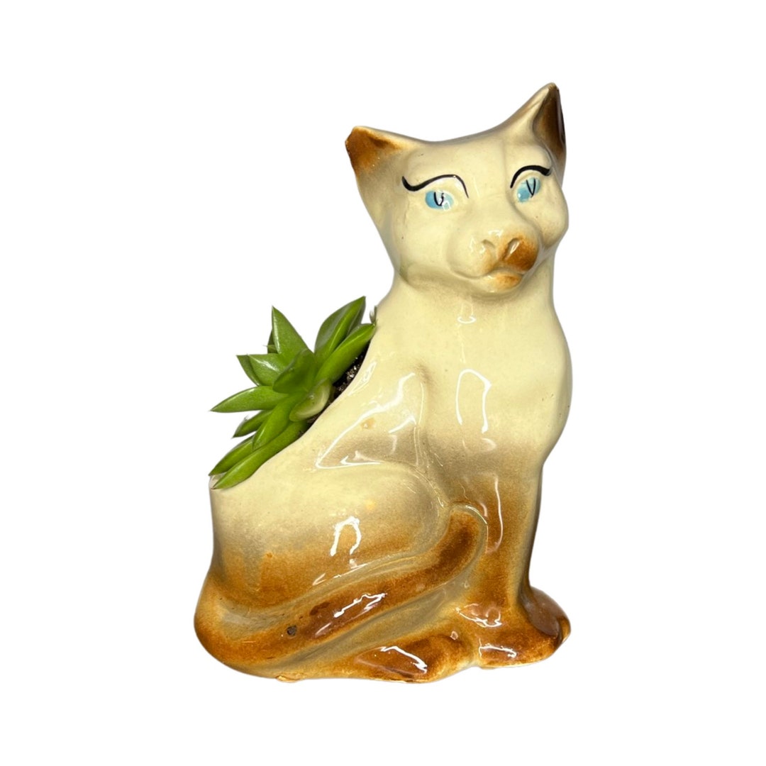 Vintage Ceramic Cat Vase/brown and White Cat Holder/succulent Vase/hand ...